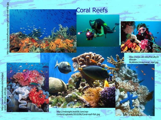 Ocean notes: a comprehensive study on different ocean zones including ...