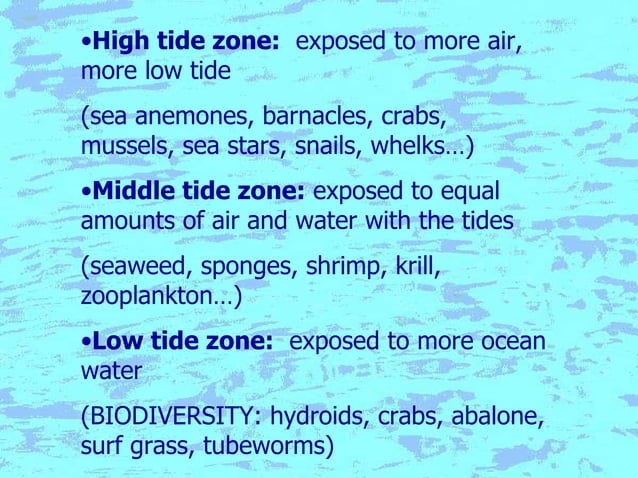 Ocean notes: a comprehensive study on different ocean zones including ...