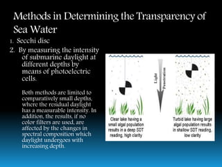 Oceanography | PPTX