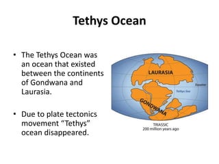 Origin Of Ocean Basins | PPTX