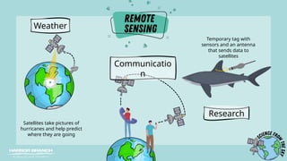 Oceanography & Remote Sensing powerpoint | PPTX