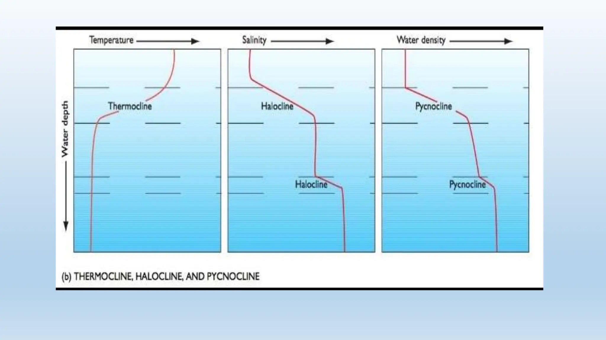 Oceanography thermocline.pptx PRESENTED BY Dr. PK Anthwal | PPTX
