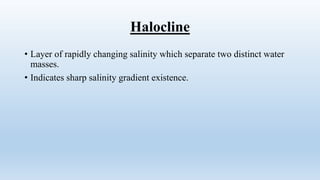 Oceanography thermocline.pptx PRESENTED BY Dr. PK Anthwal | PPTX