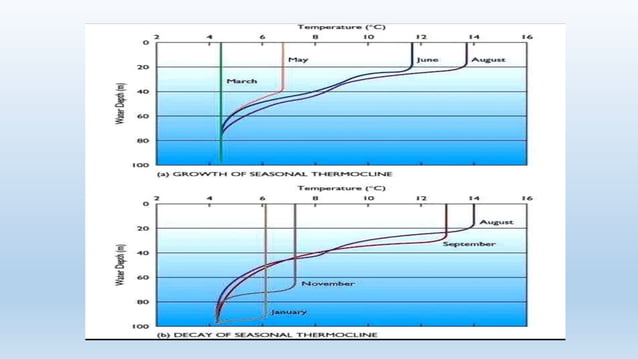 Oceanography thermocline.pptx PRESENTED BY Dr. PK Anthwal | PPTX
