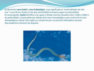 ZONAS DE LOS OCEANOS.pptx, GRANDES AVENTURAS | PPTX