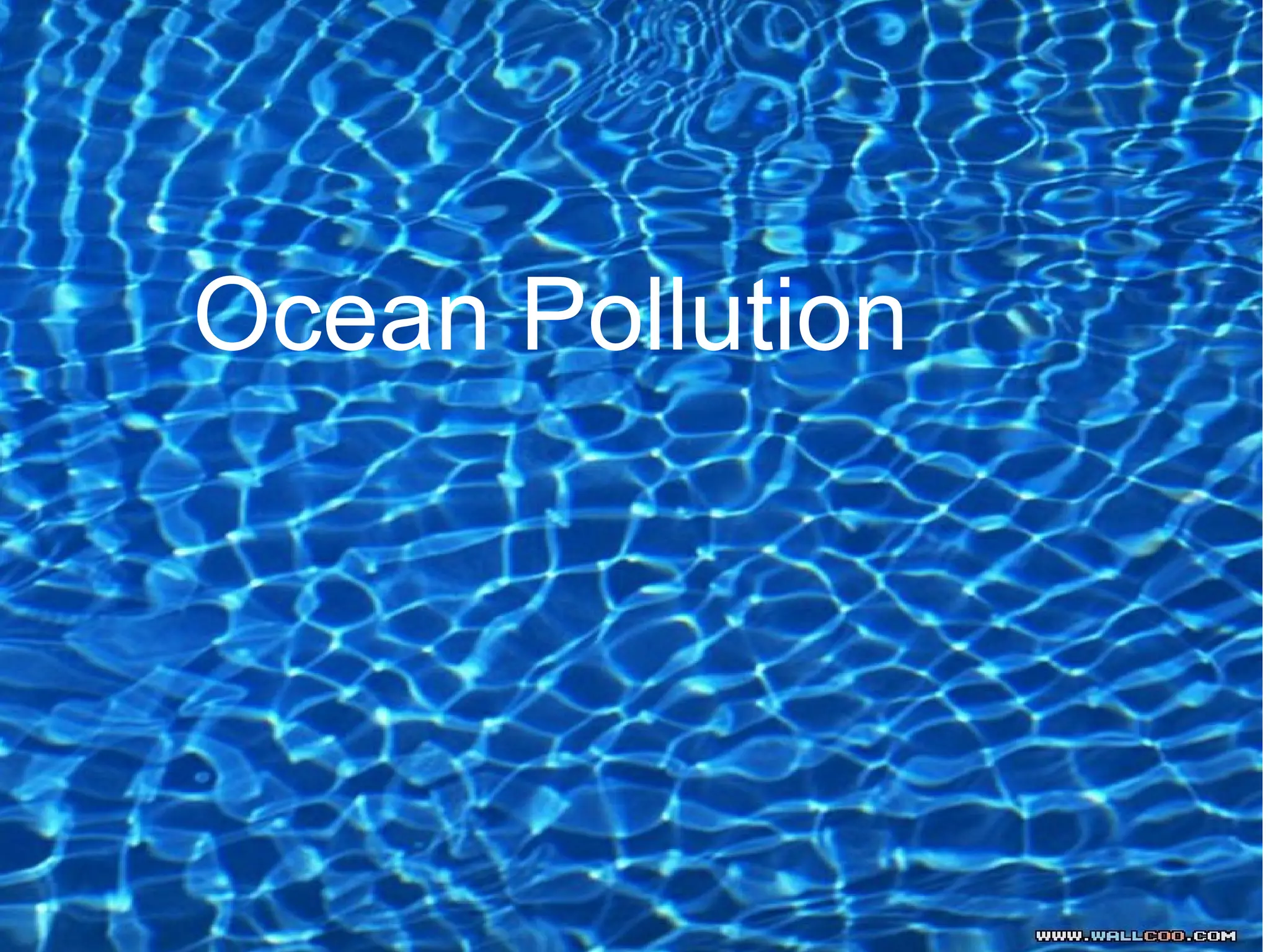 Ocean Pollution | PPT