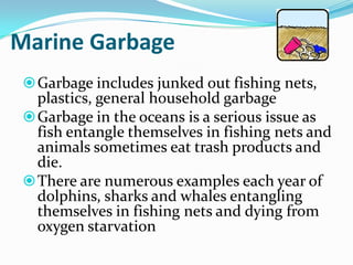 Ocean pollution | PPTX