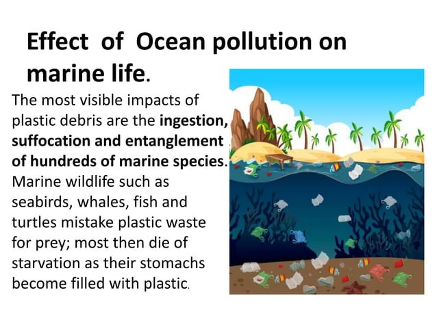 "Impact and Sources of Ocean Pollution". | PPT