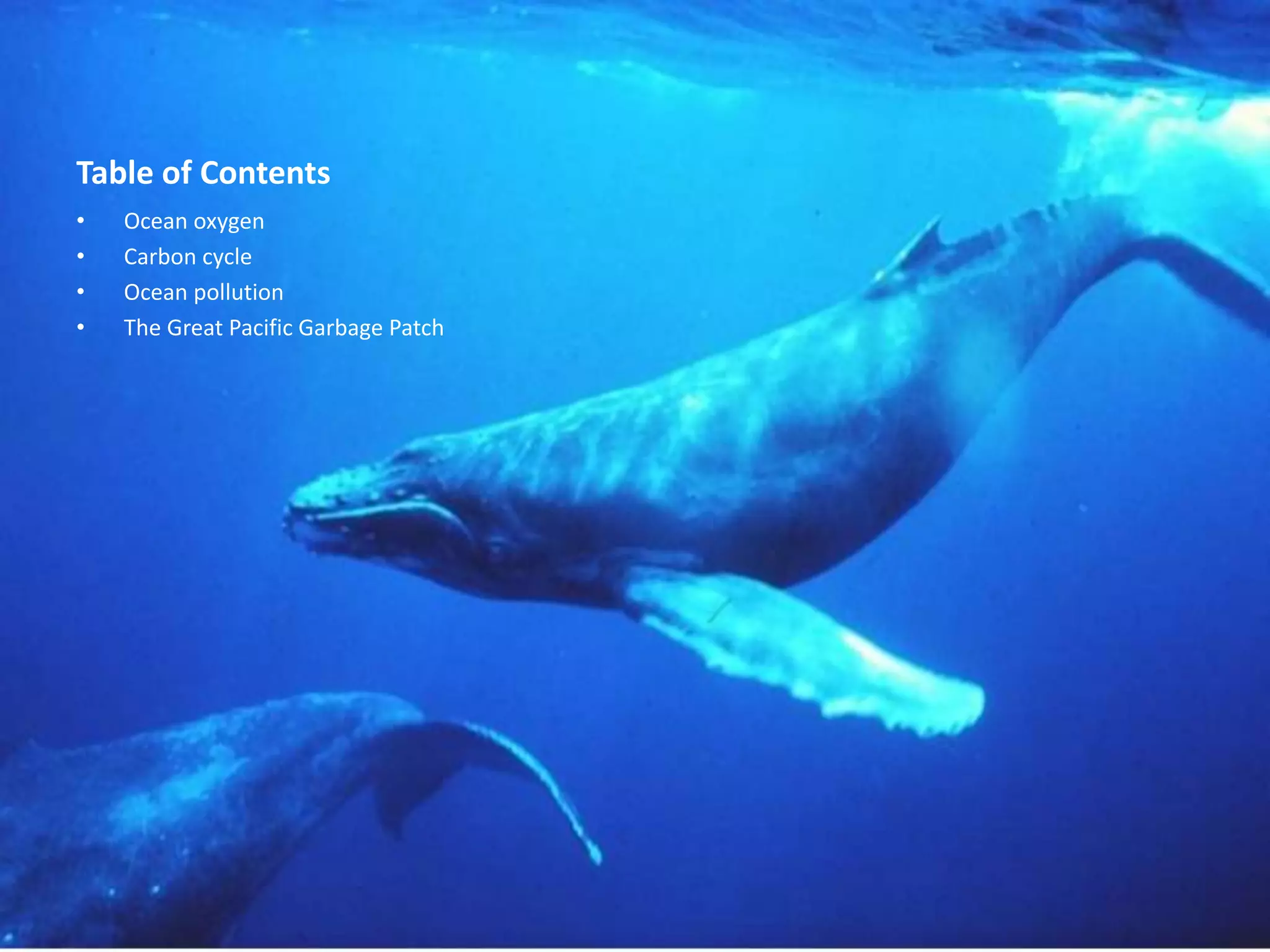 Ocean pollution enviromental project | PPTX