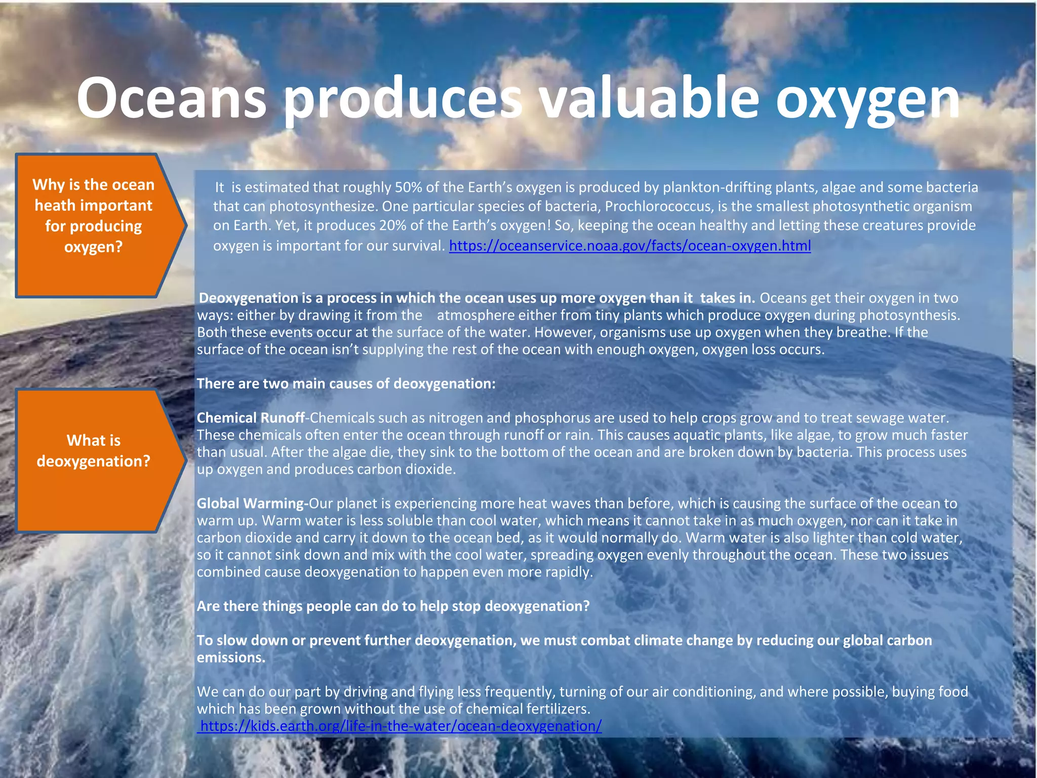 Ocean pollution enviromental project | PPTX