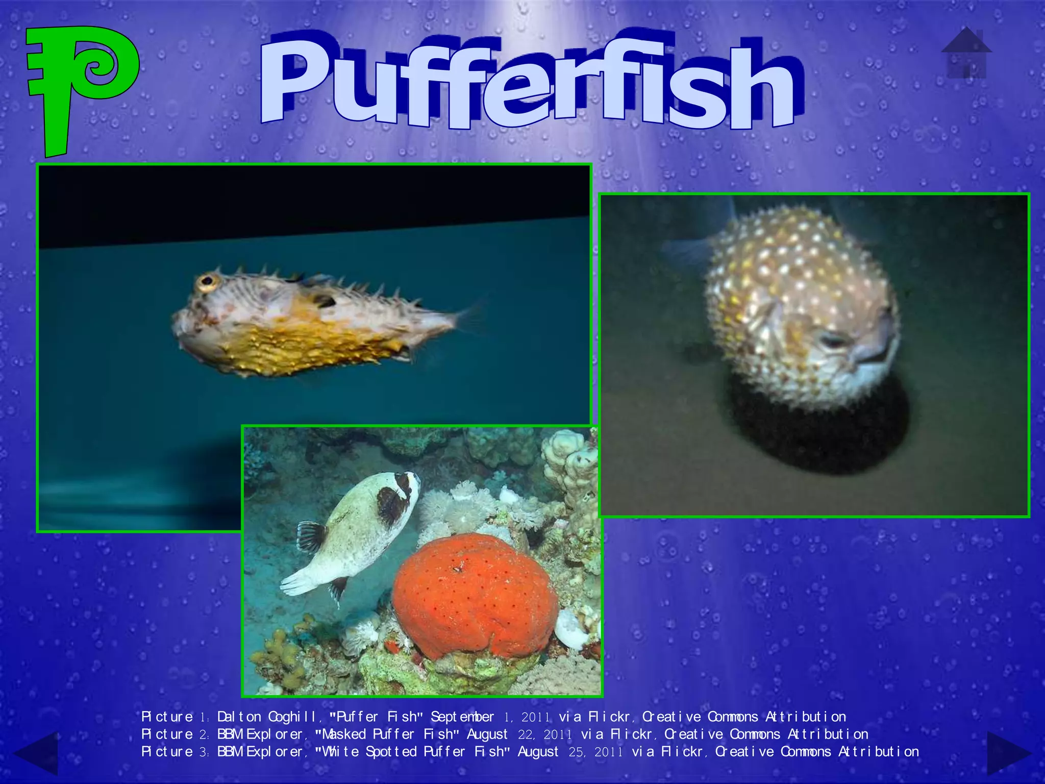 Ocean powerpoint presentation | PPTX | Geography | Science