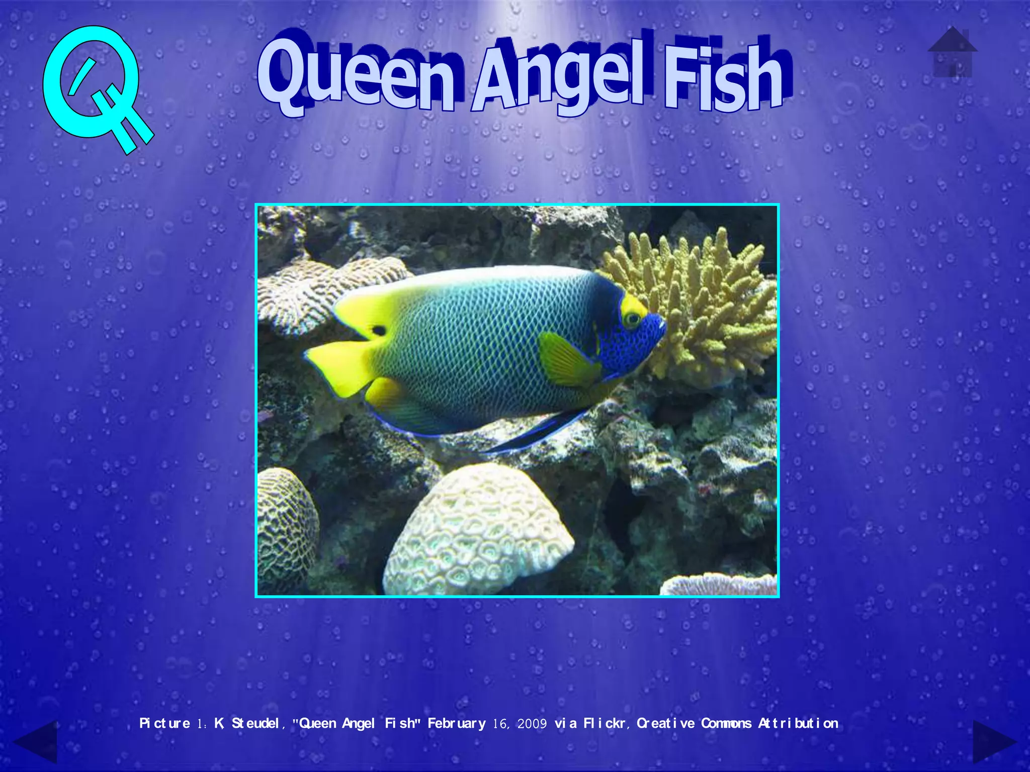 Ocean powerpoint presentation | PPTX