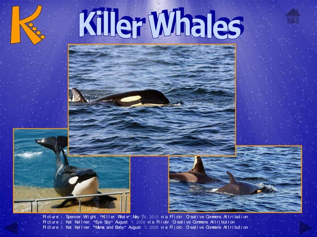 Ocean powerpoint presentation | PPTX | Geography | Science