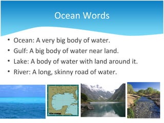 Ocean PPT | PPT
