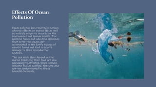 OCEAN PPT.pptx
