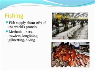 Ocean resources | PPT