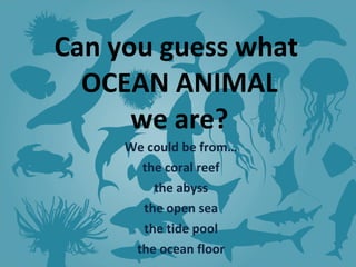 Ocean riddles | PPT