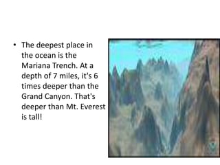 Oceans | PPTX