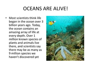 Oceans | PPTX