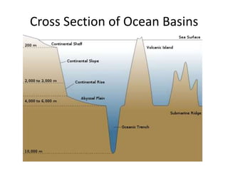 Ocean Basin Cross Section