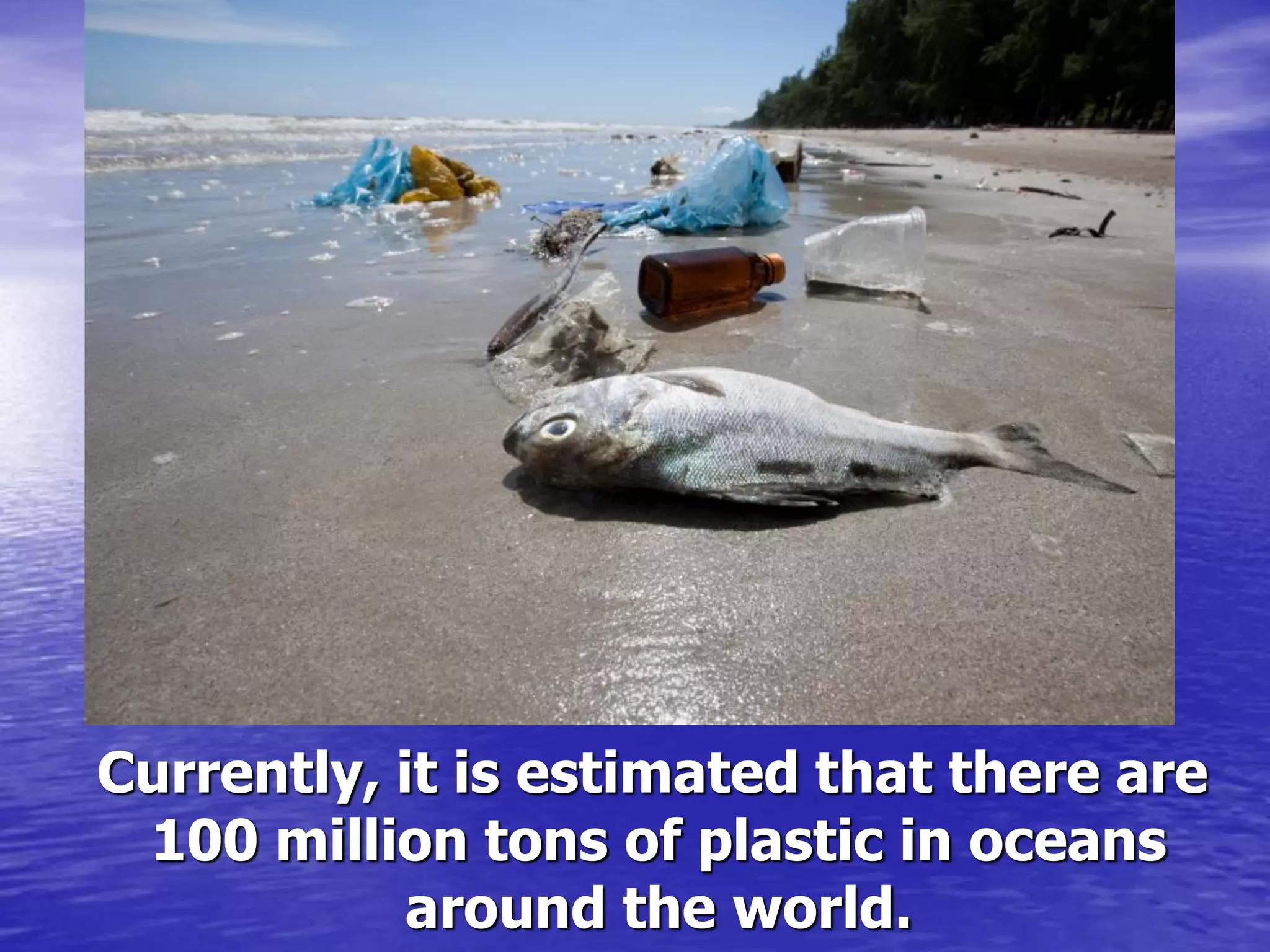 Oceans are at risk | PDF