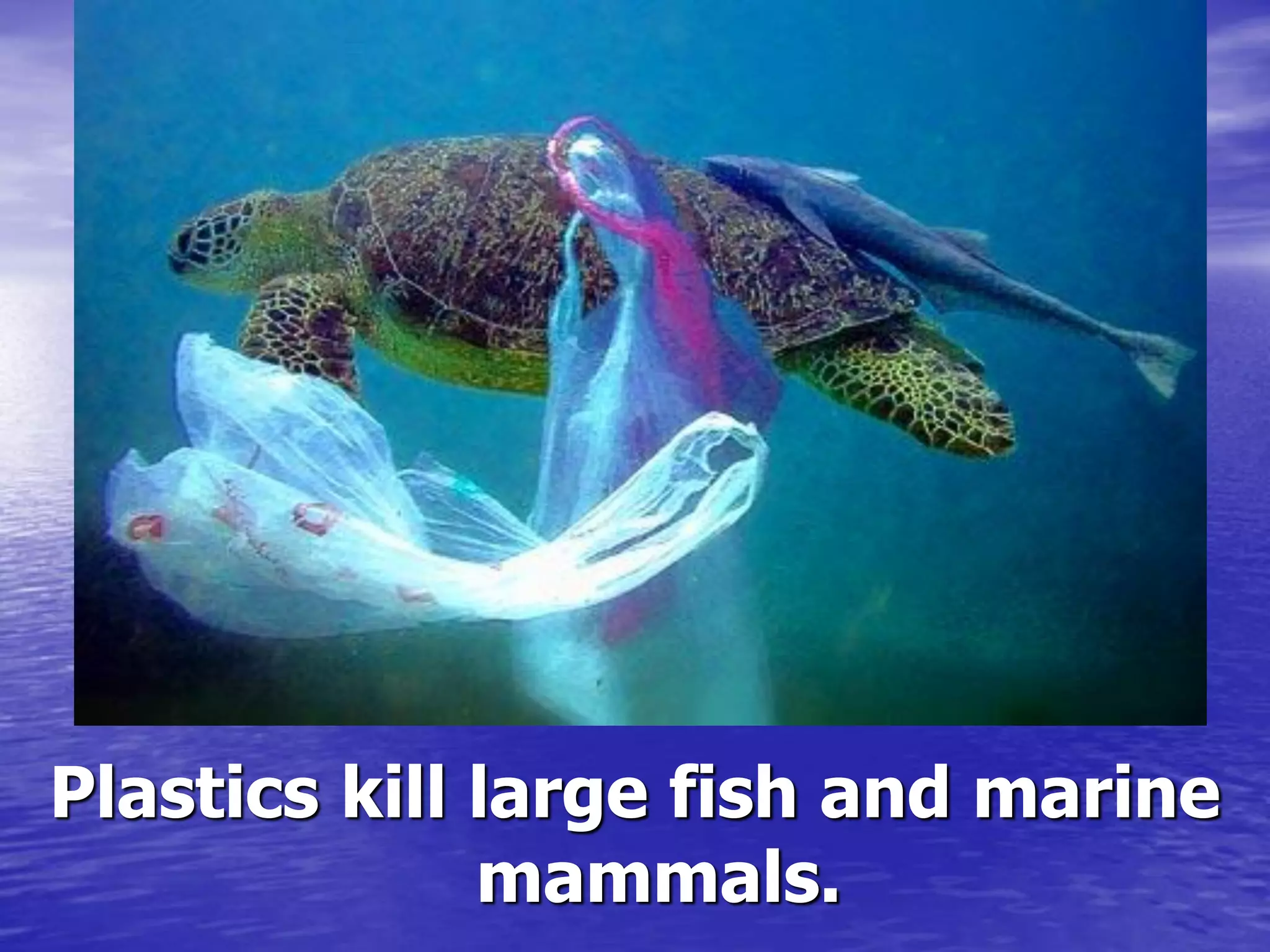 Oceans are at risk | PDF