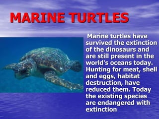 Oceans are at risk | PDF