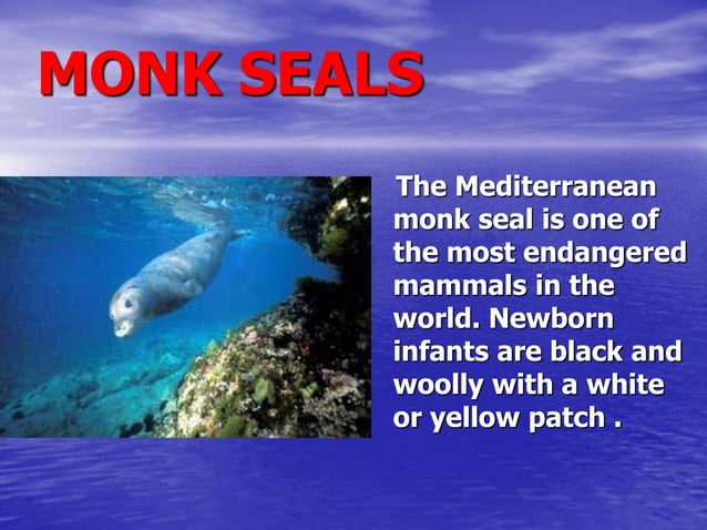 Oceans are at risk | PDF