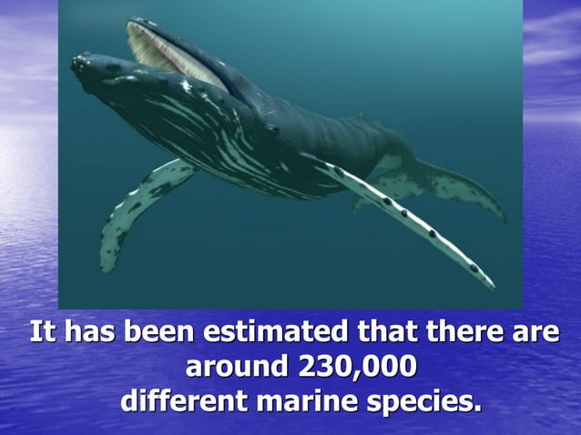 Oceans are at risk | PDF