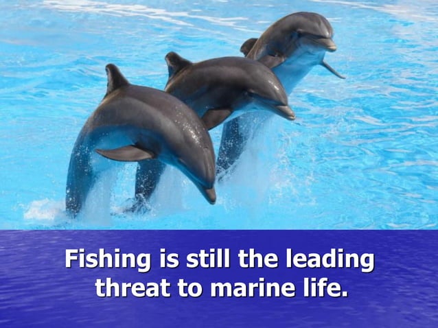 Oceans are at risk | PDF