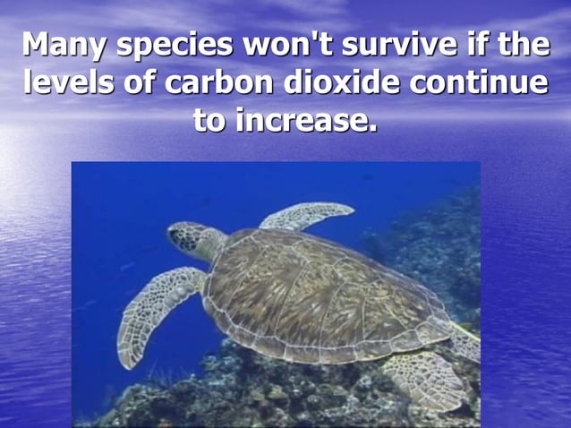 Oceans are at risk | PDF