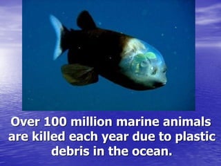 Oceans are at risk | PDF