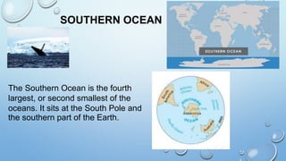 Oceans around the world | PPTX