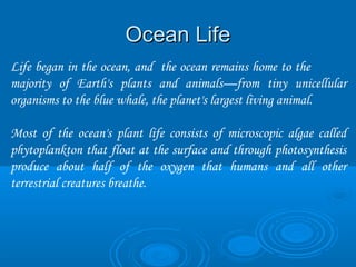 Ocean science ready anjelina | PPT