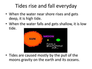 Oceans continents | PPTX