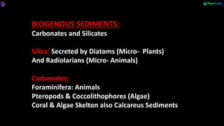 Ocean Floor & Ocean Sediments | PPTX