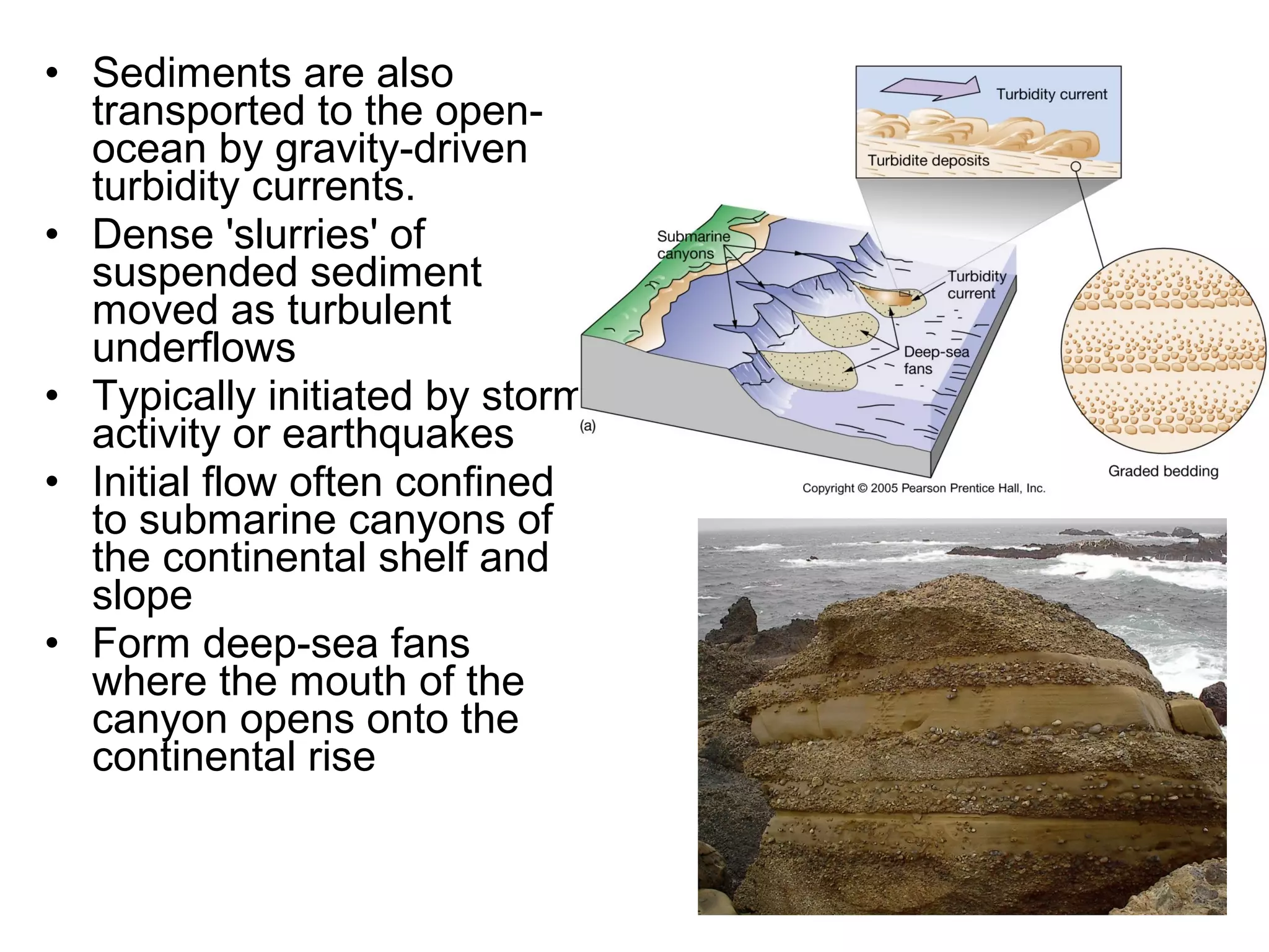 Ocean sediments | PPT
