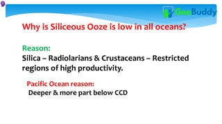 Ocean sediments | PDF