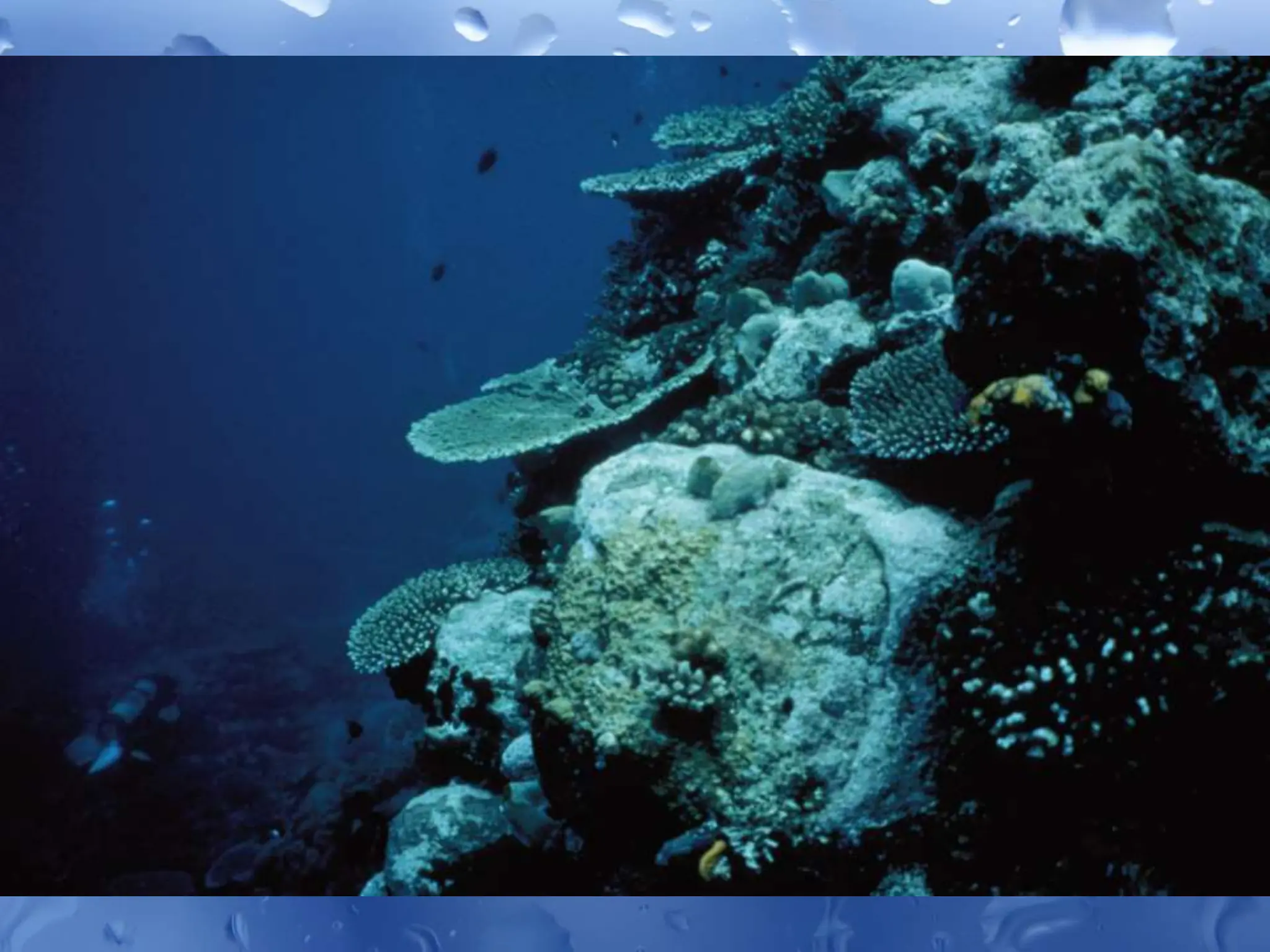 OCEANS and the effect on climate change.ppt