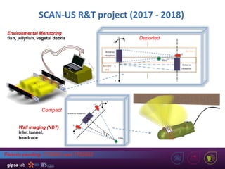 Transmission Waveform Analysis for Active Ultrasound Fish Monitoring ...