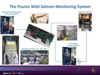 Transmission Waveform Analysis for Active Ultrasound Fish Monitoring ...