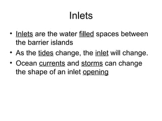 Ocean shore zones | PPT | Geography | Science