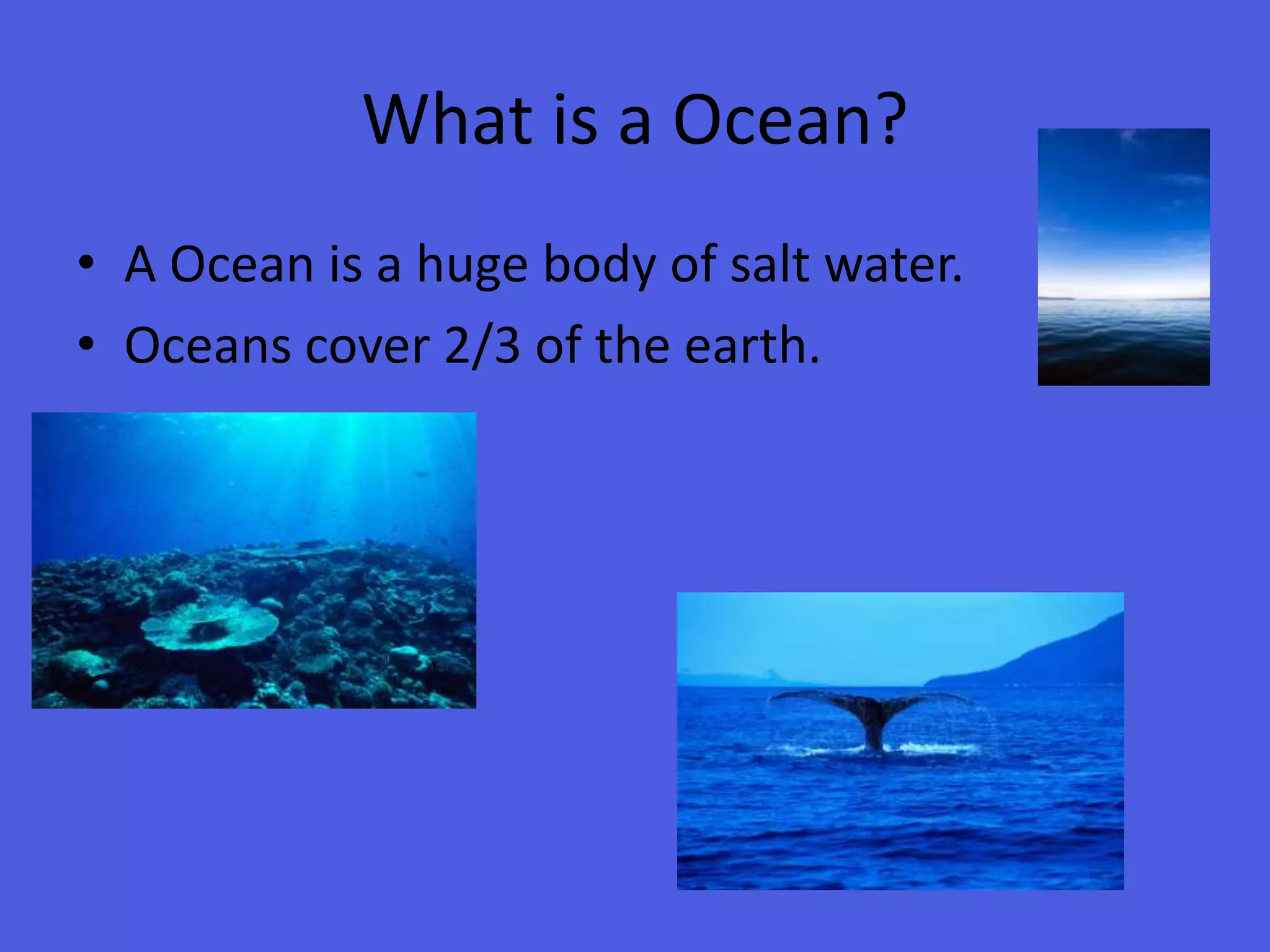 Oceans kylee lucy | PPT