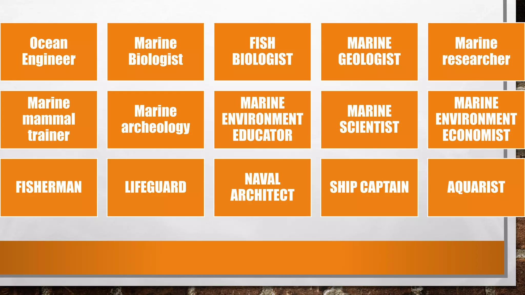 Oceans: Introduction to World Oceans | PPT