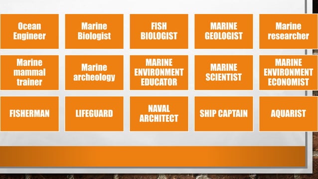 Oceans: Introduction to World Oceans | PPT