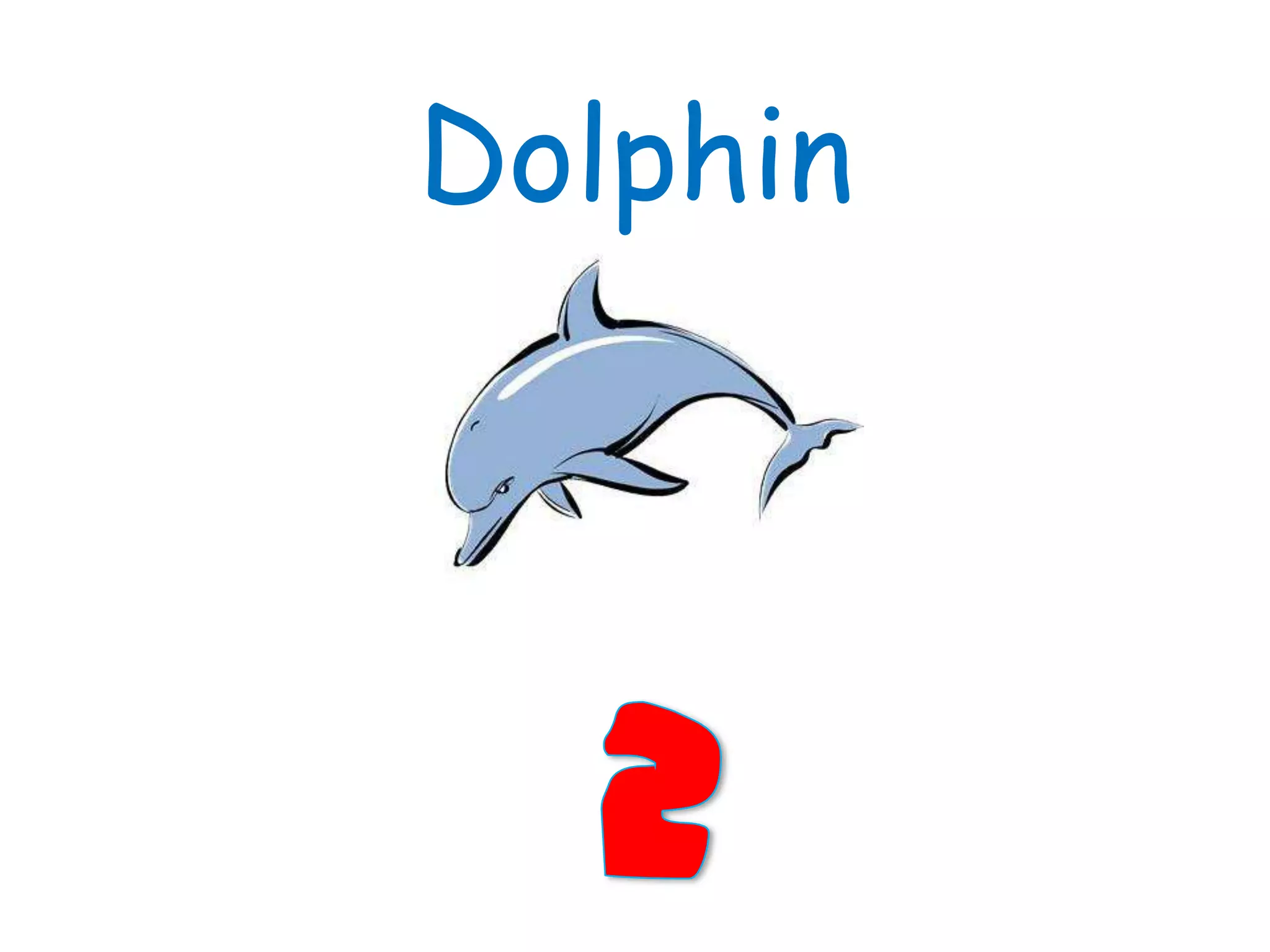 Ocean syllable reveal | PPTX | Zoos & Aquariums | Attractions