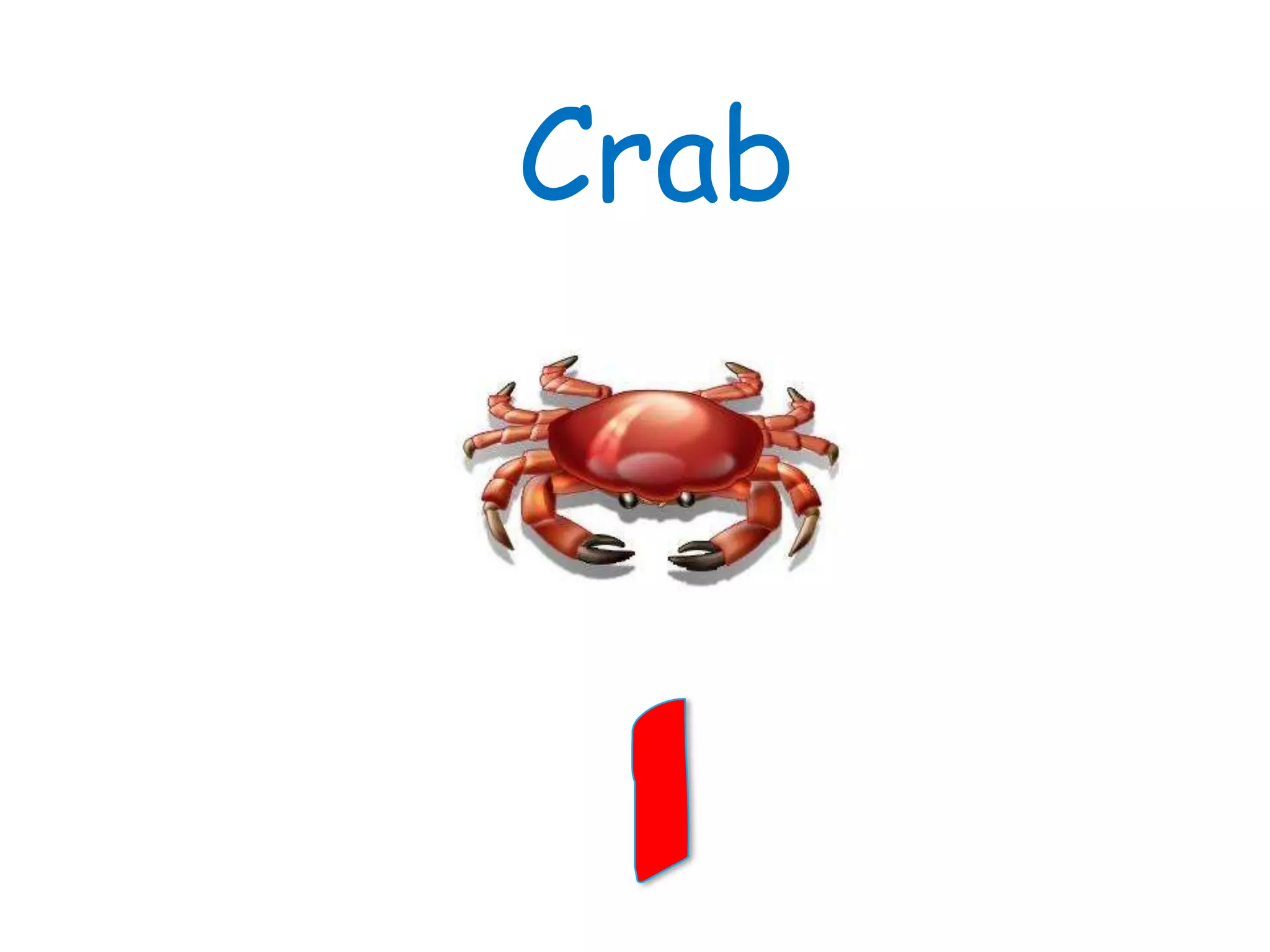 Ocean syllable reveal | PPTX | Zoos & Aquariums | Attractions