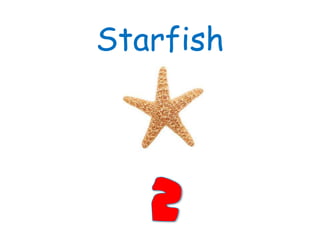 Ocean syllable reveal | PPTX