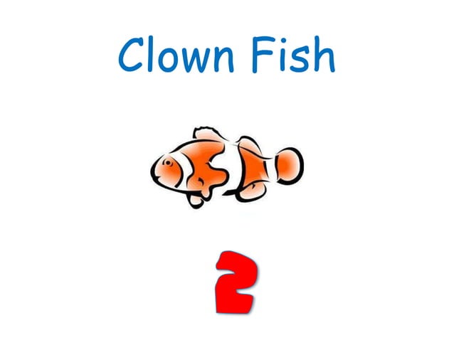 Ocean syllable reveal | PPT