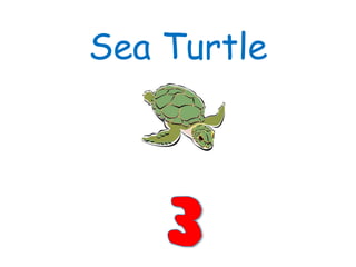 Ocean syllable reveal | PPTX | Zoos & Aquariums | Attractions